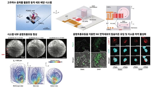 KAIST MECHANICAL ENGINEERING