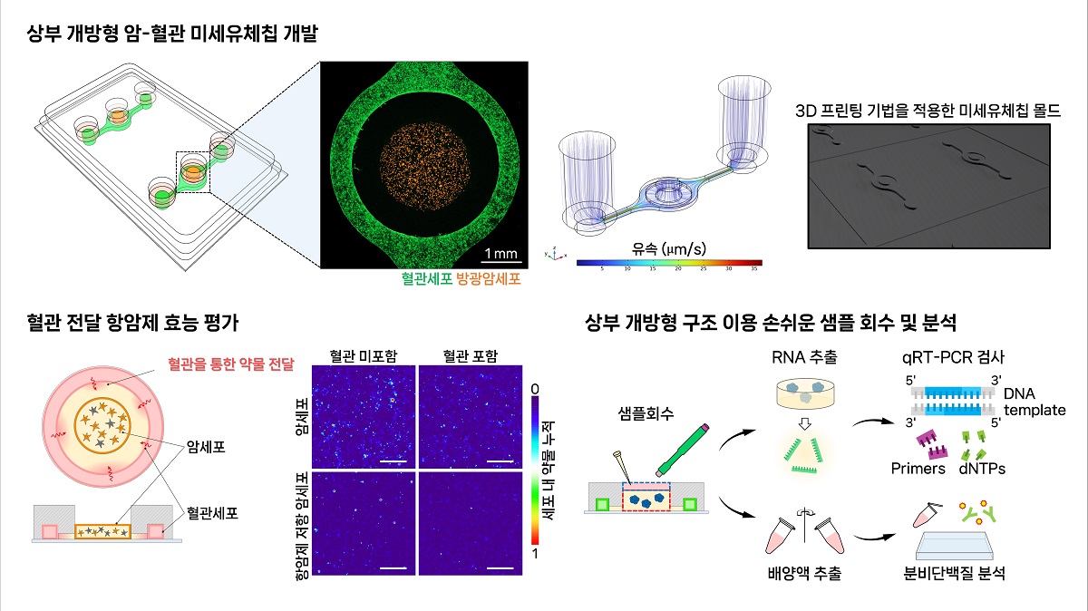 KAIST 기계공학과
